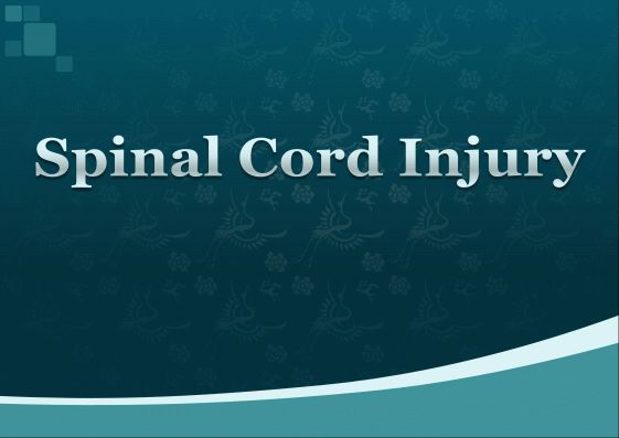 SCI(Spinal Cord Injury : 척수손상)