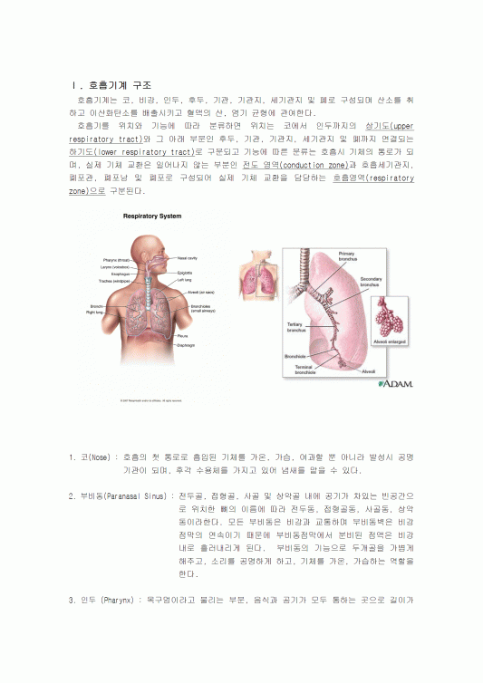 호흡기계합병증