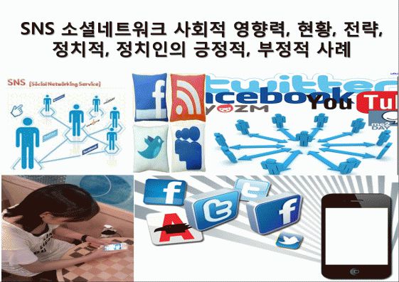 SNS 소셜네트워크 사회적 영향력, 현황, 전략, 정치적, 정치인의 긍정적, 부정적 사례