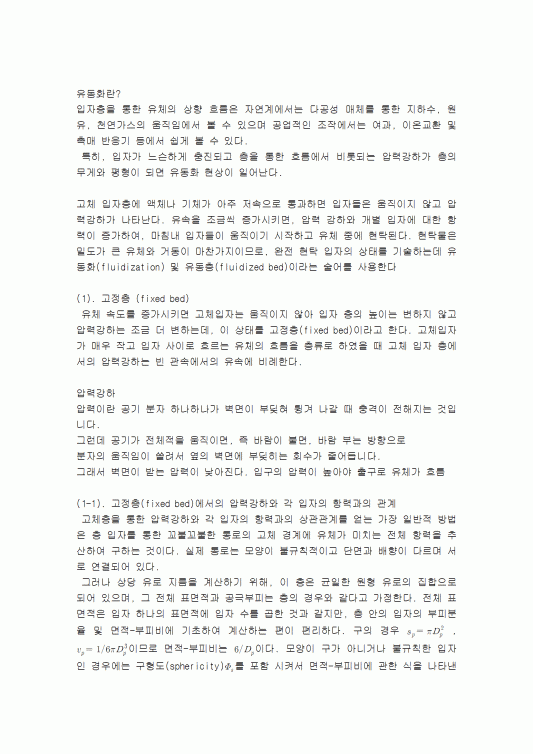 유동화 실험에 관한 이론자료