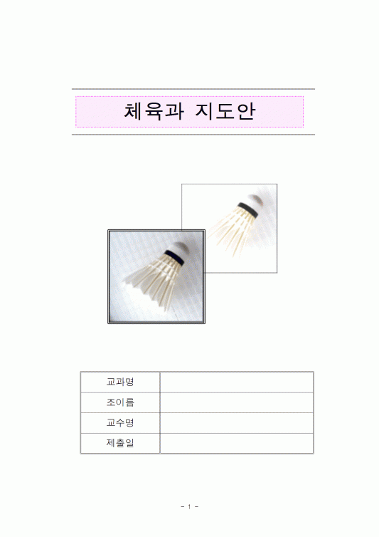 2학년) 배드민턴 지도안(스트로크. 클리어)