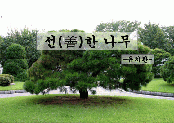 고등 문학 발표숙제) 유치환-선한나무