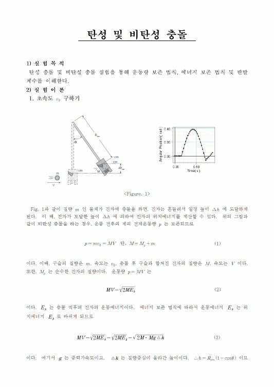 [자연과학] 탄성 및 비탄성 충돌