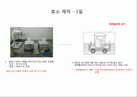 혈당측정기용 효소 제작과정