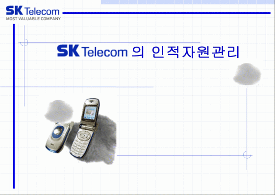 SK Telecom(텔레콤)의 인적자원관리