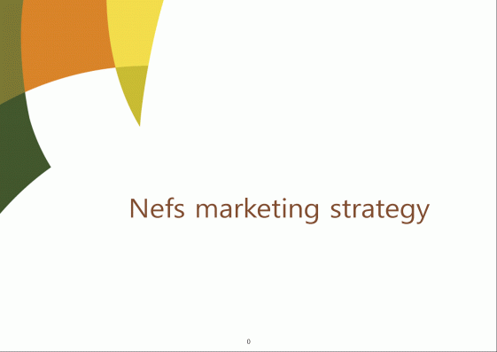 넵스 마케팅 전략 (Nefs marketing strategy)