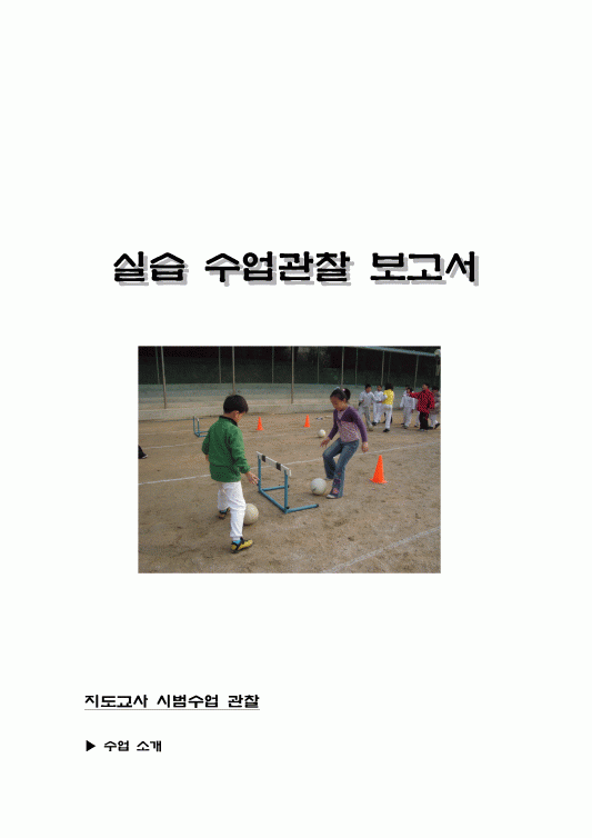 실습 수업관찰 보고서