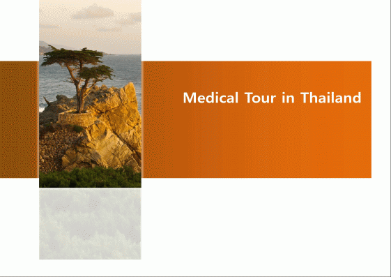 태국의 의료관광 (Medical Tour in Thailand)