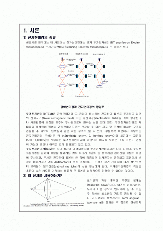 생활광학 전자현미경 tem sem