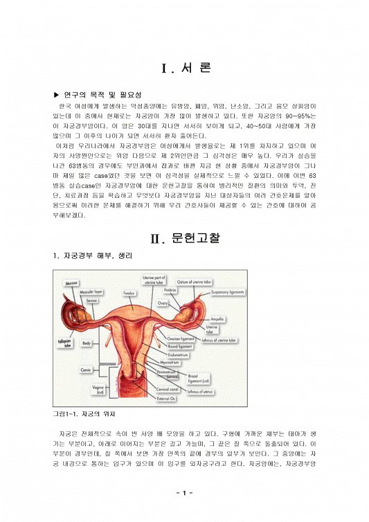 자궁경부암케이스