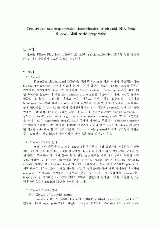 [생화학 실험보고서] E coli의 DNA 플라스미드 추출 및 농도 측정 실험