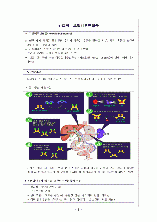 [간호학] 고빌리루빈혈증(Hyperbilirubinemia)