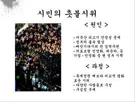 한국사회 민주화론-17페이지