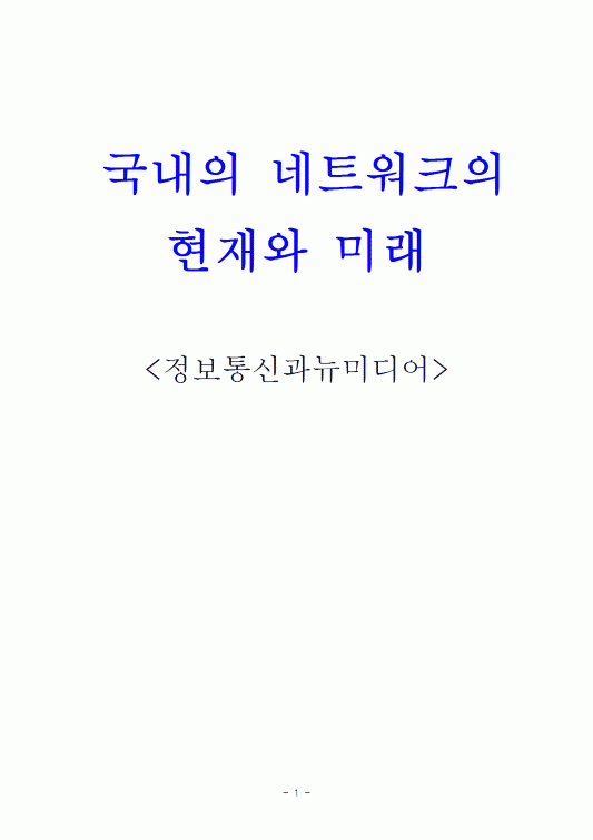 국내의 네트워크의 현재와 미래