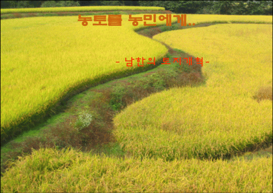 [한국현대사] 남한의 토지개혁