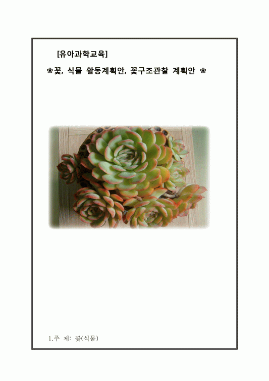 [유아과학교육] 꽃, 식물 활동계획안, 꽃구조관찰 계획안