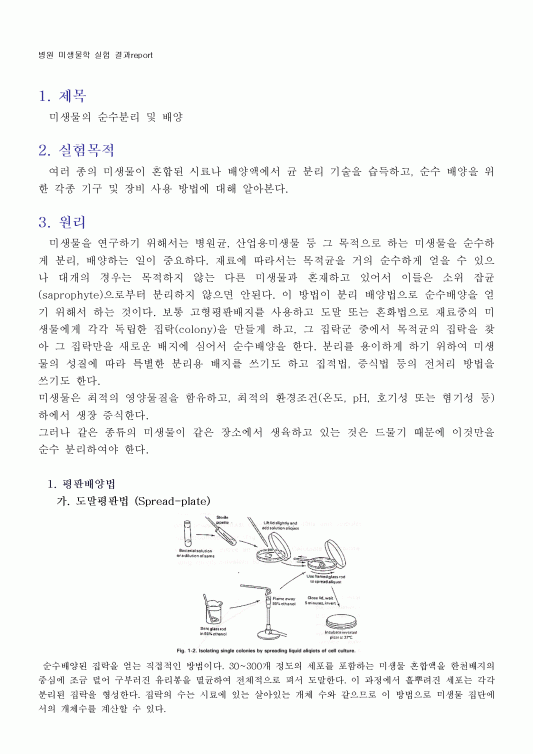 병원미생물학실험_report_2_(미생물 순수배양)