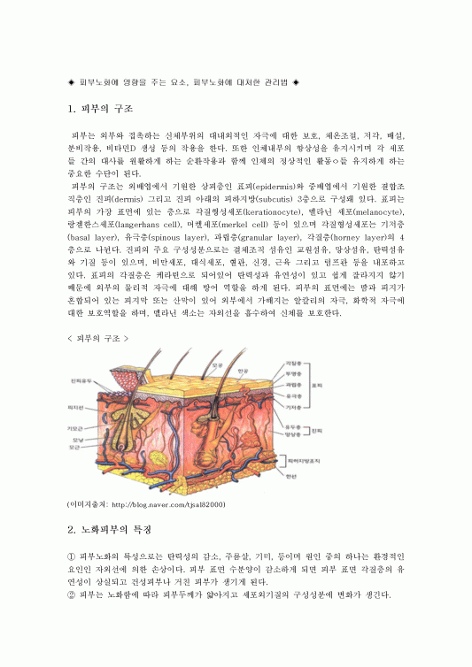 피부노화에 영향을 주는 요소, 피부노화에 대처한 관리법