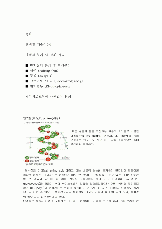 단백질분리및정제기술에대하여