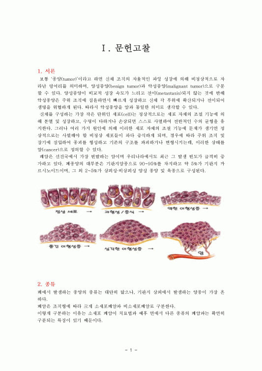 [성인]폐암 CASE (lung cancer CASE)