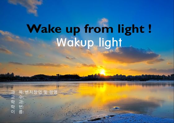 벤처창업 및 경영 수업 과제 사업 아이디어 : wake up light (알람 대신 빛으로 잠을 깨우는 것).ppt