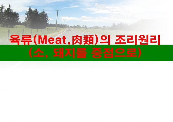 육류(Meat/肉類)의 조리원리(소, 돼지를 중점으로).ppt