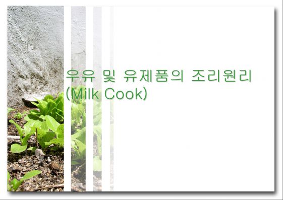 우유 및 유제품의 조리원리(Milk Cook).ppt