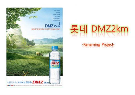 롯데 DMZ2km -Renaming Project- 롯데디엠지,생수시장,생수사업,마케팅,브랜드,브랜드마케팅,기업,서비스마케팅,글로벌,경영,시장,사례,swot,stp,4p.PPT자료