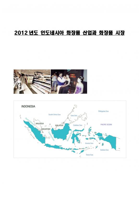 2012년 동남아시아 인도네시아 화장품 산업과 화장품 시장, 한류현황, 소매시장, 소비자 분석, 외국인 투자, 투자