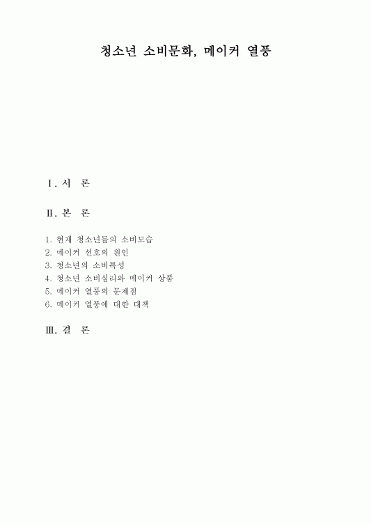 청소년 소비문화, 메이커 열풍