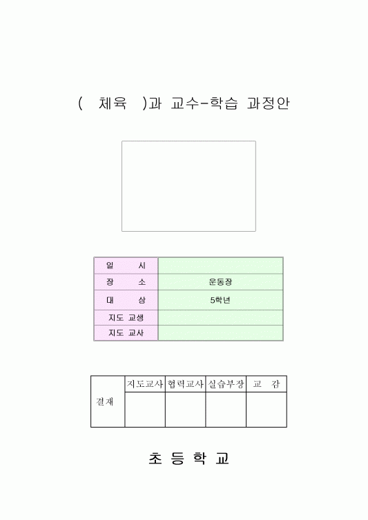 5학년 체육 지도안-경쟁활동(티볼)-야구 방망이로 공치기(세안)