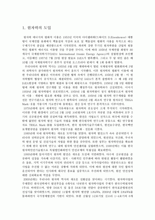 원자력 발전의 도입, 필요성, 국가경제 발전에 기여하는 원자력