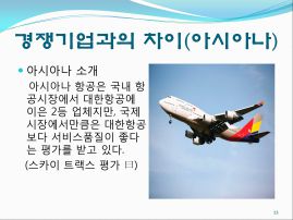성공적인 마케팅 사례연구 “대한항공” (대한항공,대한항공마케팅전략,대한항공세부마케팅,아시아나항공마케팅,항공사마케팅).ppt-13페이지
