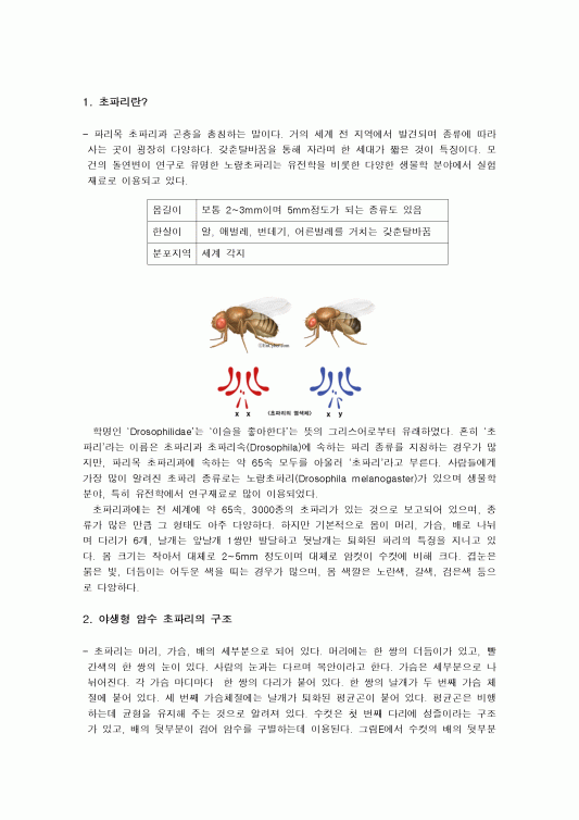 [일반생물학실험] 초파리 관찰실험 예비&결과