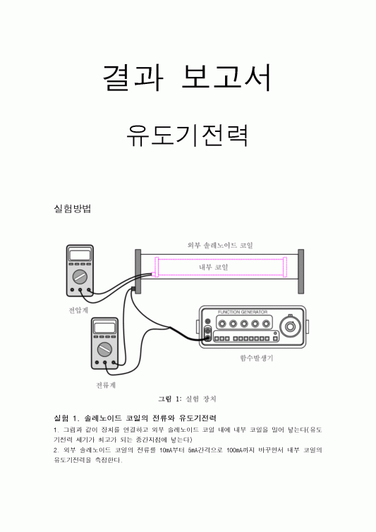 일반물리학 - 유도기전력 결과