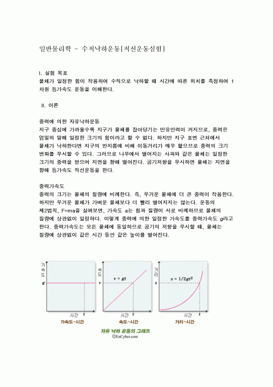 일반물리학 - 수직낙하운동[직선운동실험]