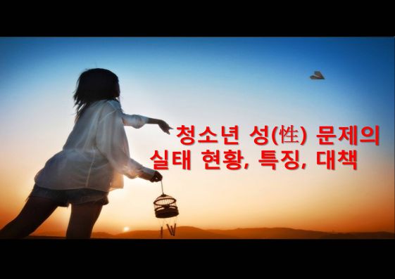 청소년 성문제 실태 현황, 특징, 대책 대학 발표 자료