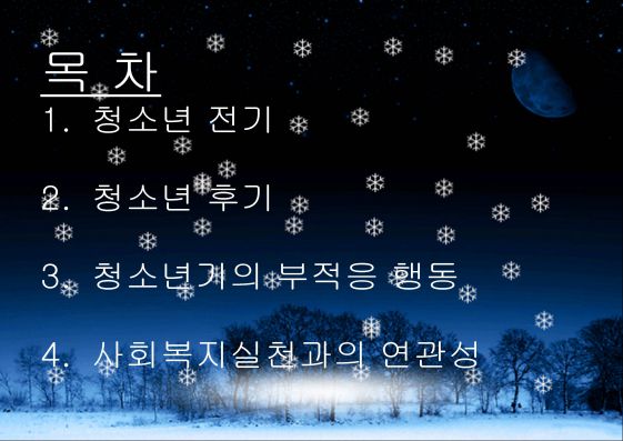 청소년기 _생애주기, 청소년기발달, 전기, 후기, 부적응, 사회복지실천.pptx