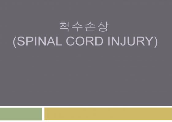척수손상 (Spinal Cord Injury).PPT자료