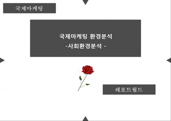 [국제마케팅]사회환경분석