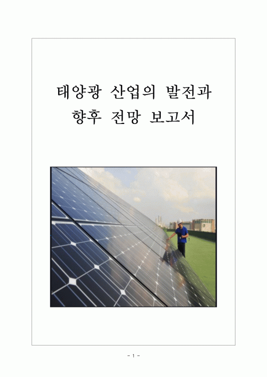 [태양광 시장] 태양광 산업의 발전과 향후 전망 보고서