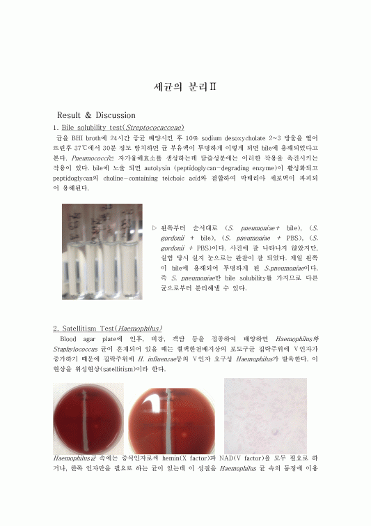 1105_월화수_세균의 분리(5~7)