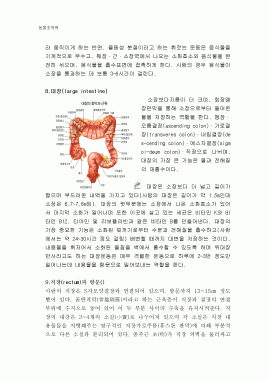 [동물조직학] 입에서 항문까지 소화기계(Digestive System)의 조직학적인 정리-8페이지