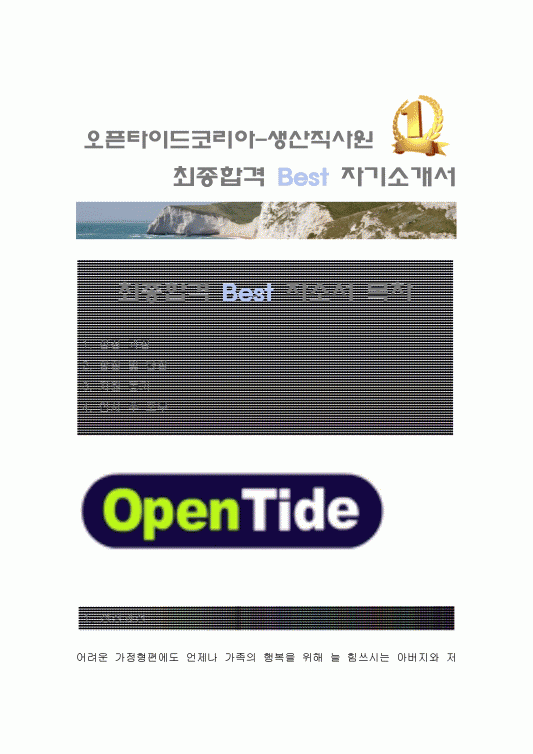 오픈타이드코리아 합격자소서[생산직사원 합격자] 오픈타이드코리아 자기소개서,오픈타이드코리아 자소서,오픈타이드코리아 채용정보