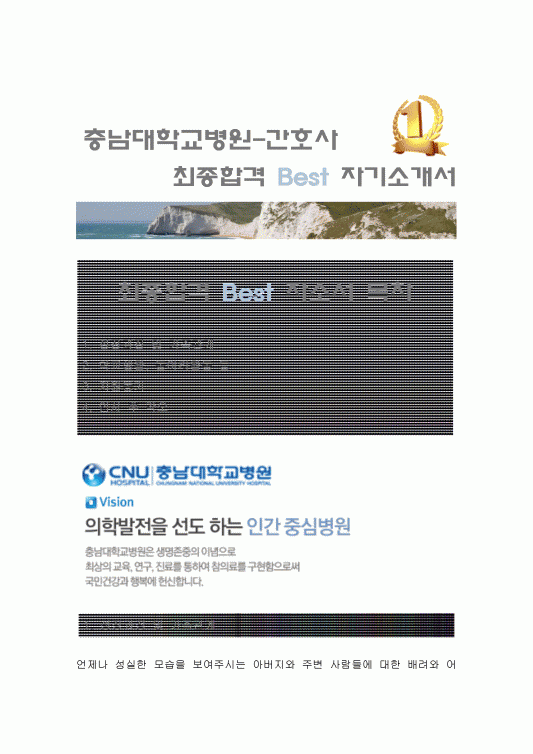 충남대학교병원 합격자소서[간호사 합격자] 충남대학교병원 자기소개서,충남대학교병원 자소서,충남대학교병원 채용정보, 충남대학교병원