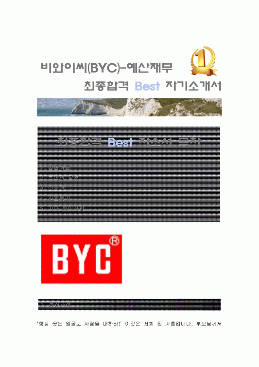 비와이씨(BYC) 합격자소서[예산재무 합격자] 비와이씨(BYC) 자기소개서,비와이씨(BYC)자소서,비와이씨(BYC) 채용정보, 비와이씨(BYC)