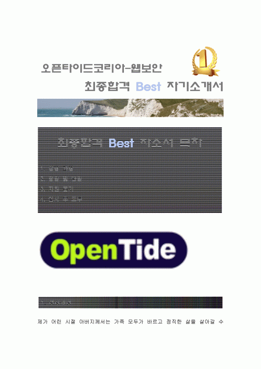 오픈타이드코리아 합격자소서[웹보안 합격자] 오픈타이드코리아 자기소개서,오픈타이드코리아 자소서,오픈타이드코리아 채용정보