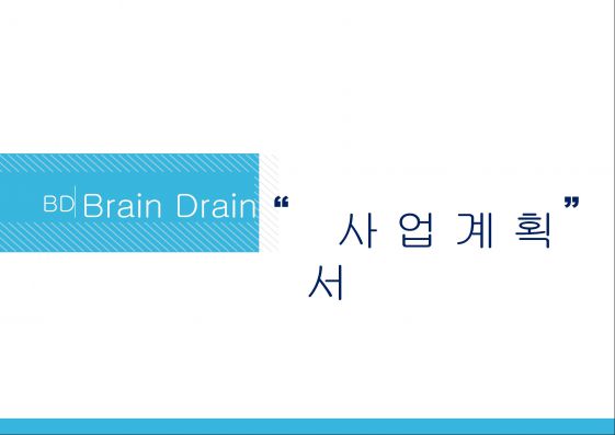[창업, 사업계획서] 대학생 취업면접 컨설팅업체 (취업컨설팅 업체) 창업 사업계획서 - Brain Drain (BD : 브레인 드레인).PPT자료