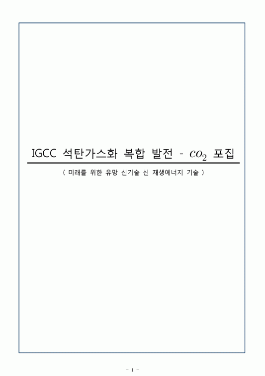 유망 신기술 신 재생에너지 기술 - IGCC(Integrated Gasification Combined Cycle) 석탄가스화 복합 발전 보고서 (IGCC 필요성, IGCC기술 동향, CCS기술 동향, IGCC 특허출원 현황, 주요 특허, 주요기술 대비)