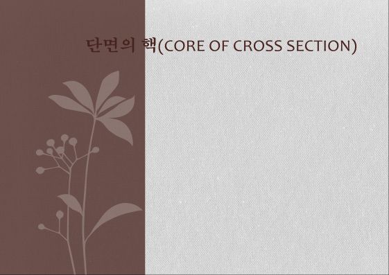 [응용역학 실험] 단면의 핵(Core of Cross Section).pptx
